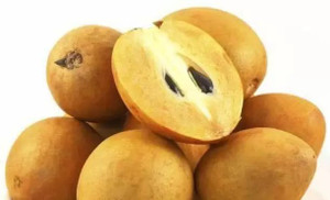 Aro Chikoo, Sapota, Chiku Seed Price in India - Buy Aro Chikoo, Sapota ...