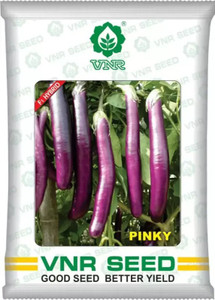 Farmers Choice vnr PINKY hybrid brinjal Seed (10 g) Seed Price in India ...