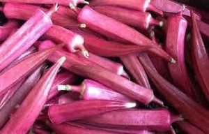 seedkart Lady Finger/ Bhindi/ Red Bhindi Seed Price in India - Buy ...