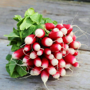 Radha Krishna Agriculture Imported Radish Half Red F1 Hybrid Seeds For ...