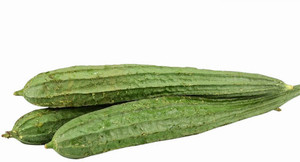 DHENU PRASAD 2526 F1 Hybrid Ridge gourd (turai) Seed Price in India ...