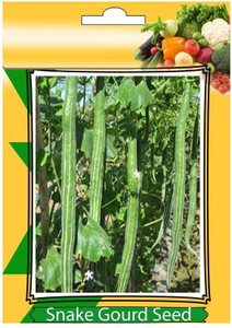 VibeX Heirloom High Yield Rare Snake Gourd Chachinda[50 Gms, 250 Seeds ...