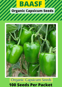 BAASF Capsicum, Shimla mirch, Chilli seeds Seed Price in India - Buy ...