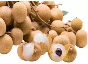 MAA Litchi, Lichi, Lychee Seed Price in India - Buy MAA Litchi, Lichi ...