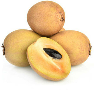 SREE Chalisa Chikoo, Sapota, Sapodilla, Naseberry Seed, Sobeda Hybird ...