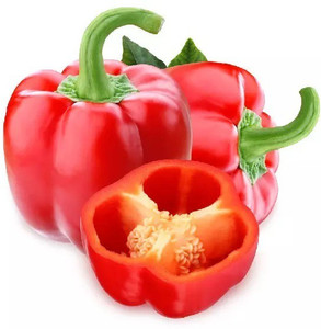 VASUDHA Organic Red Capsicum Seed Price in India - Buy VASUDHA Organic ...