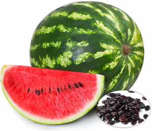Seedsilk Store Hybrid Watermelon/ Tarbuj Fruit Seeds - Giant Fruit ...