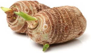 KANAYA Taro Root / Arbi / Dasheen / Eddoes Vegetable Bulbs Home Outdoor ...