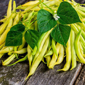 SeeGreen farm Long Beans Phali Seed For Home Planting & Research - 10 ...