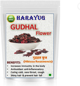 HARAYUG GUDHAL PHOOL - HIBISCUS FLOWER - GUDHAL FLOWER - HIBISCUS ROSA ...