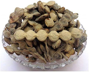 Kesariwala Babool (Phali) - Acacia (Pods) - Kikar Fali Seed Price in ...