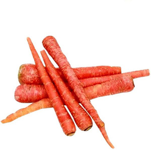RUDAN Carrot Red Long (गाजर के बीज) Seed Price in India - Buy RUDAN ...