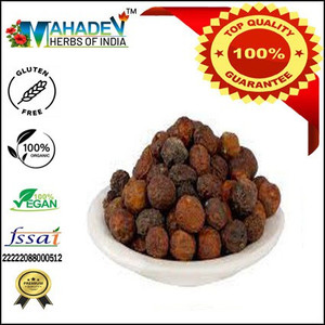 mahadev herbs of india Pure Bakayan Fruit || Bakain Phal || Melia ...