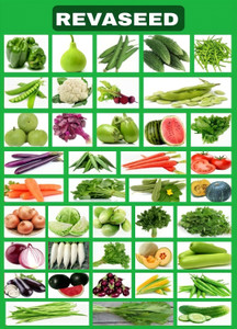 REVASEED Vegetable Seeds (Hybrid/Organic) Combo 40 Varieties Home ...