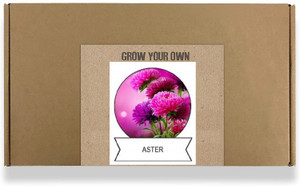 CYBEXIS Aster Princess Mix Flower Seed Price in India - Buy CYBEXIS ...