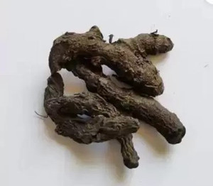 iva Black Turmeric, Karumanjal, Kali Haldi, Curcuma Caesia Seed 1000g ...