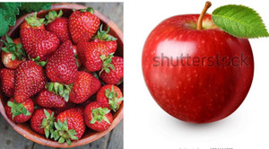 Oliver apple,strawberry fruit seed Seed Price in India - Buy Oliver ...