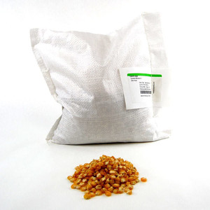 VibeX ® LXI-740 Golden Bantam Corn Seeds Seed Price in India - Buy ...