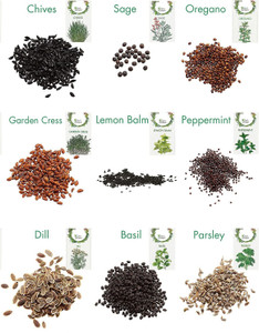 CYBEXIS 9 Seeds Combo-Chives,Sage,Oregano,Cress,Lemon Balm,Peppermint ...