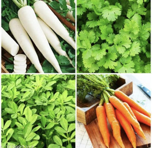 XOLDAA TOMATO,BRINJAL,CILLI,BITTERGUARD,BOTTLEGUARD,8 TYPES VEGETABLES ...