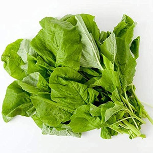 Lorvox Cholai Saag Seed Price in India - Buy Lorvox Cholai Saag Seed ...