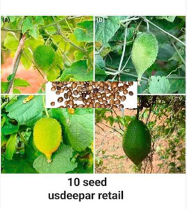 seedargo BDSresolve kantola seeds hybrid, kakoda kantola seeds hybrid ...