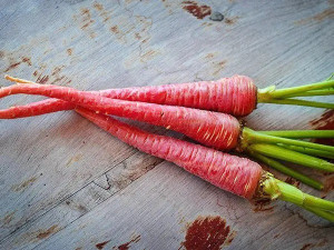 RUDAN PUSA RED CARROT Seed Price in India - Buy RUDAN PUSA RED CARROT ...