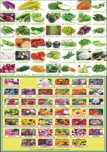 FLARE SEEDS 80 Variety Combo Pack of 40 Vegetable and 40 Flower Seeds ...