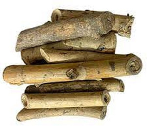 Elysian Enterprises Castor (Root) - Arand Mool - Erandi Mool - Erand ...