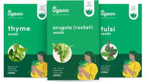 UGAOO Basil Seed Price in India - Buy UGAOO Basil Seed online at ...