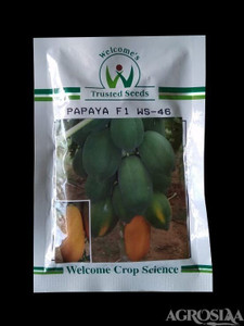 the green dotcom WS 46 Papaya F1 Hybride Seed Seed Price in India - Buy ...