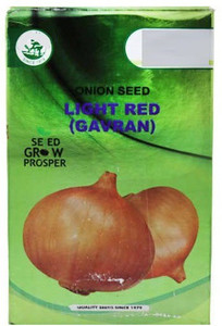 VibeX ® XLR-1136 Onion Seeds Light Green Seed Price in India - Buy ...