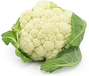 CYBEXIS Pusa Shard Cauliflower Variety-250 Seeds Seed Price in India ...