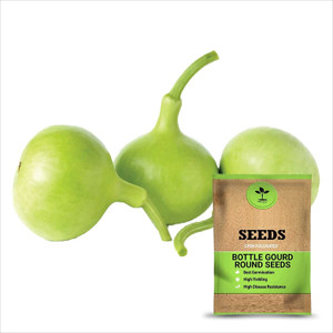 VibeX Hybrid पूसा संतुष्टि (Poosa Santushti Bottle Gourd)-(100 Gms, 500 ...
