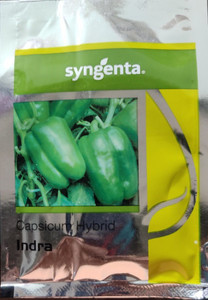 syngenta Capsicum, Indra Seed Price in India - Buy syngenta Capsicum ...