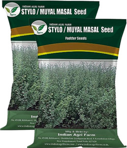 IAgriFarm Stylo / Muyalmasal / Stylosanthes Scabra - 2 Kg - For Fodder ...