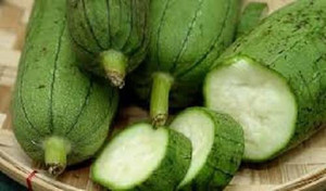 VibeX GBPUT-95 - Hybrid Sponge Gourd Peechinga Goshali Tori - (900 ...