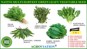 AGROVIATION NATIVE MULTI HARVEST GREEN LEAFY VEGETABLE SEED, PALAK ...