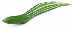 VibeX ® RXI-106 Snake Gourd Nimo Seeds Seed Price in India - Buy VibeX ...