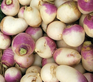 Avysa Organic Purple White Turnip/Shalgam/Shaljam Seed Price in India ...