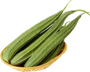 DHENU PRASAD 2567 F1 Hybrid Ridge gourd (turai) Seed Price in India ...