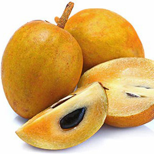 naturehils Chalisa Chikoo, Sapota, Sapodilla, Naseberry Seed, Sobeda ...