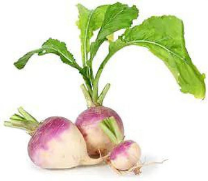 KANAYA Turnip (Shalgam ke Beej) Hybrid Vegetable Seed Price in India ...