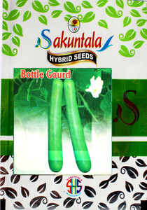 Sakuntala Hybrid Seeds Bottle Gourd Long Seeds Bottle Gourd Seeds ...