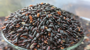 AGROVIATION BLACK RICE SEED, KALA BHATI, KALA BHAT Seed Price in India ...