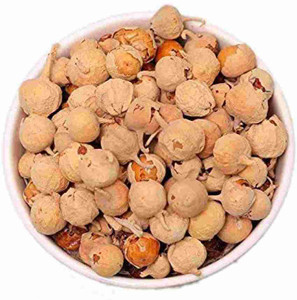 Naturebooti PANEER PHOOL - PANEER DODA - Withania Coagulans - Paneer ...