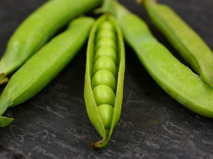 MYLAWN Super Sweet Peas Matar Seed Price in India - Buy MYLAWN Super ...