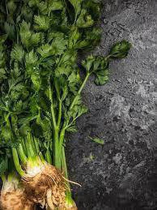 Recron Seeds AJMODA SEEDS - CELERY SEEDS - APIUM GRAVEOLENS Seed Price ...