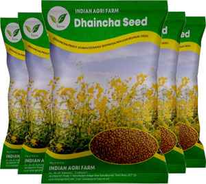 IAgriFarm Dhaincha / Sesbania Bispinosa / Malai Murungai Seed - 5 Kg ...