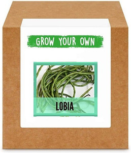 CYBEXIS Lobia/Cow Pea800 Seeds Seed Price in India - Buy CYBEXIS Lobia ...